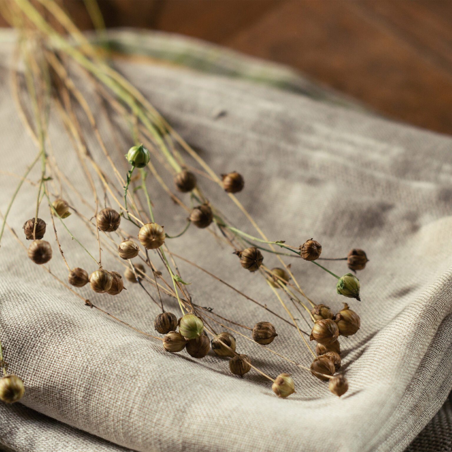 TC Tented Events - Premier Wedding and Event Rentals